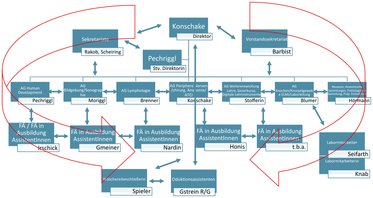 Arbeitsgruppen / Workflow - Medizinische Universität Innsbruck